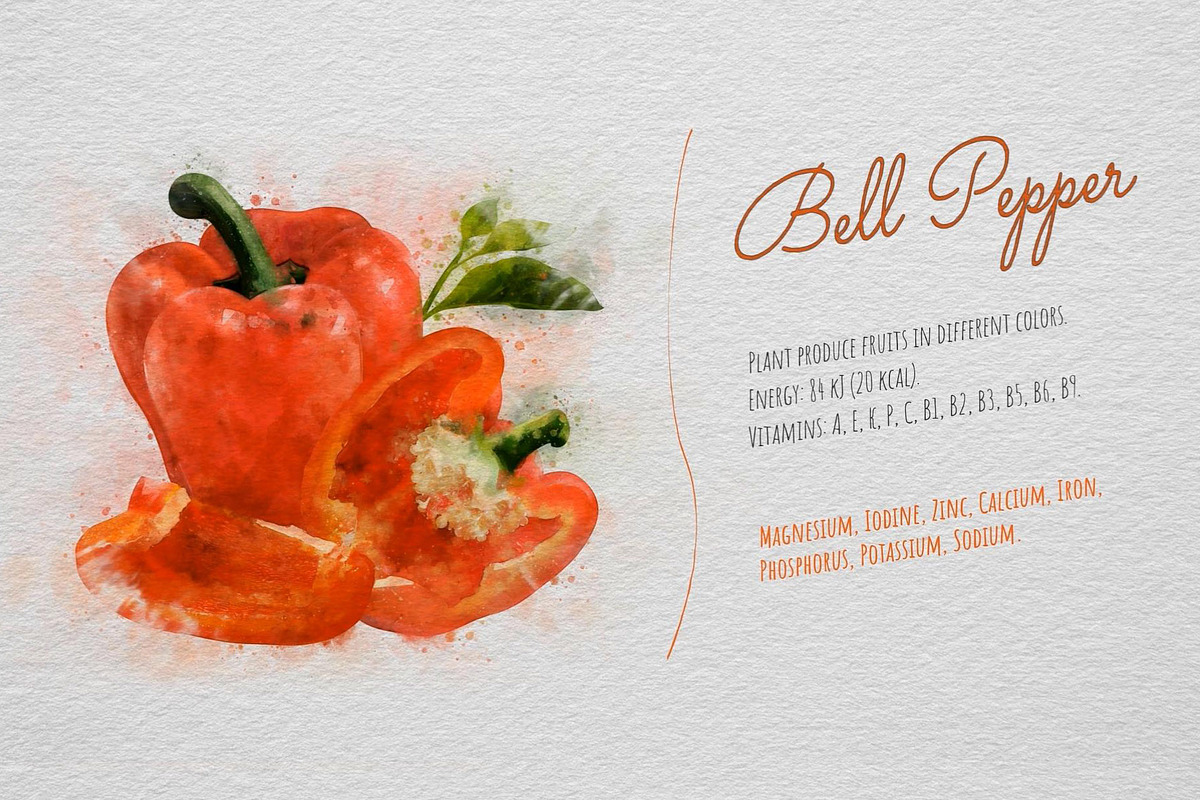 Watercolor Fruits - After Effects, a Templates & Theme by ConceptCafe