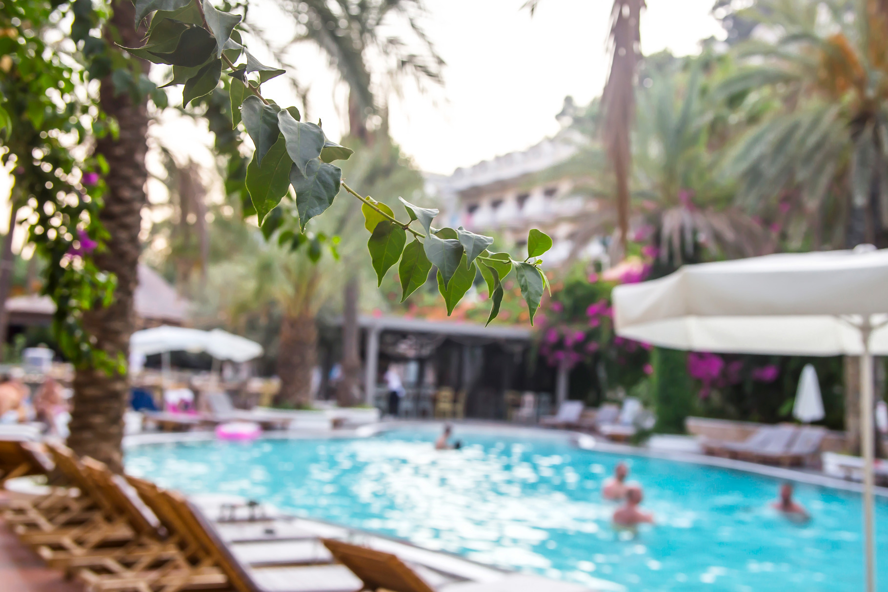 Summer vacation by the pool | Arts & Entertainment Stock Photos ...