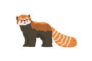 Side View of Cute Red Panda | Animal Illustrations ~ Creative Market