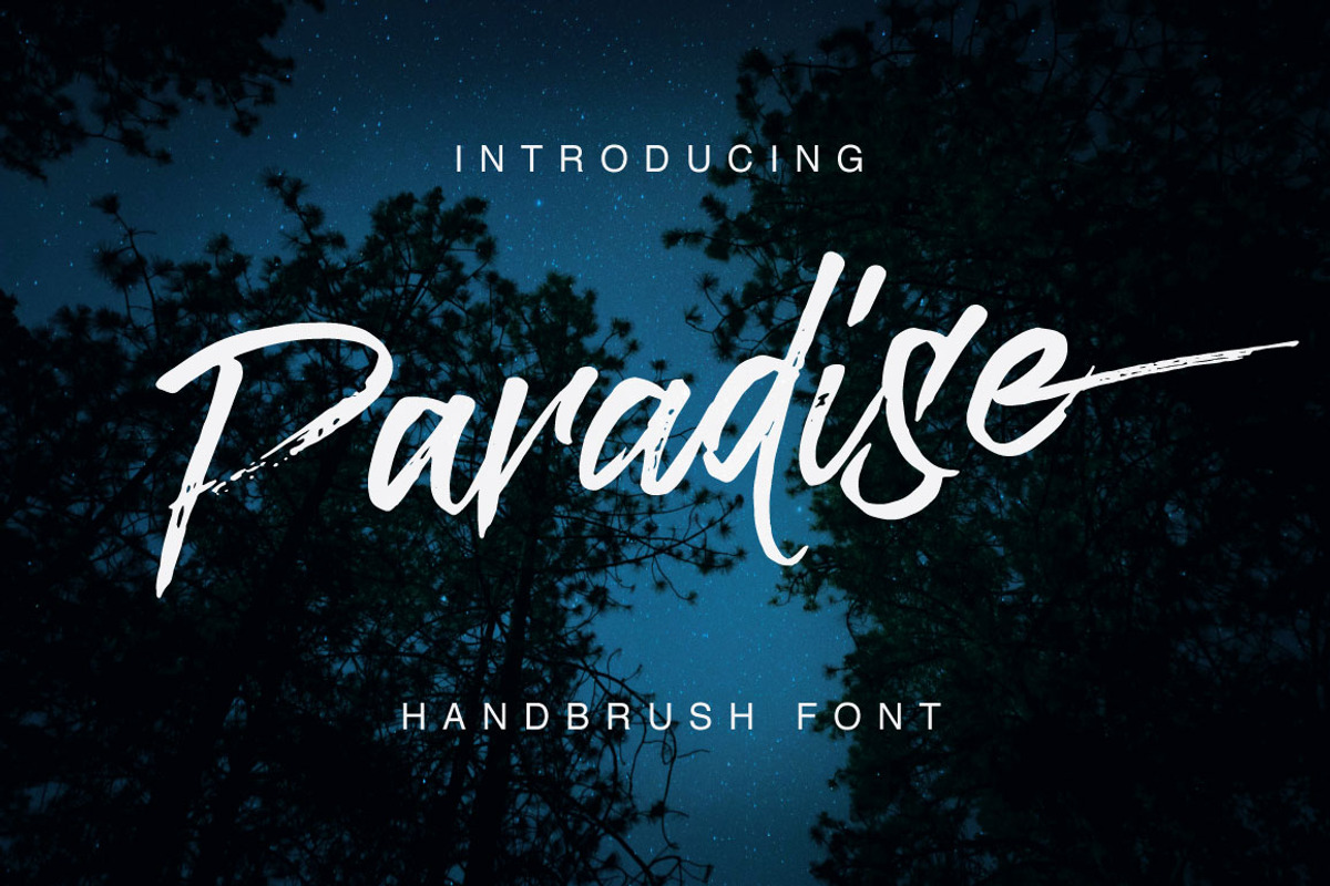 Paradise Typeface, a Script Font by QueenType