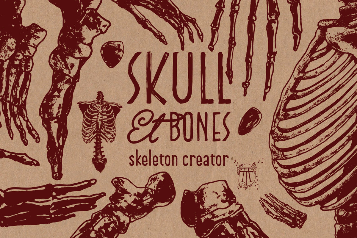 Skeleton Creator - Front & Profile, an Illustration by Andrea Tardivo ...