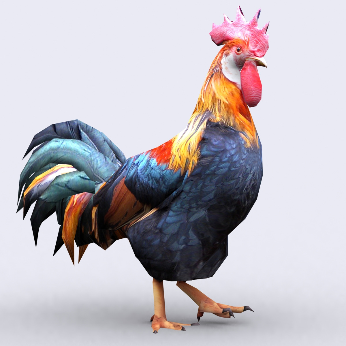3DRT - Domestic animals - Rooster, an Animal 3D Model by 3DRT.com
