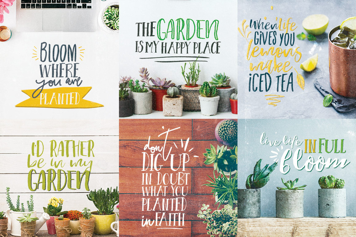 Needle & Thread Font Family, a Font by Creativeqube Design