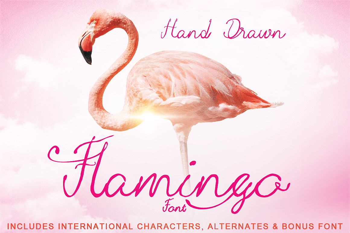 Hand Drawn Flamingo Font, a Script Font by tmcom