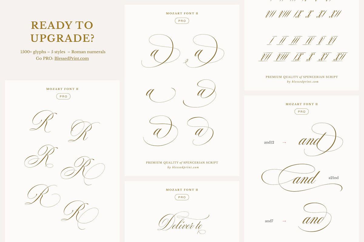 The Mozart Script, a Script Font by Blessed Print