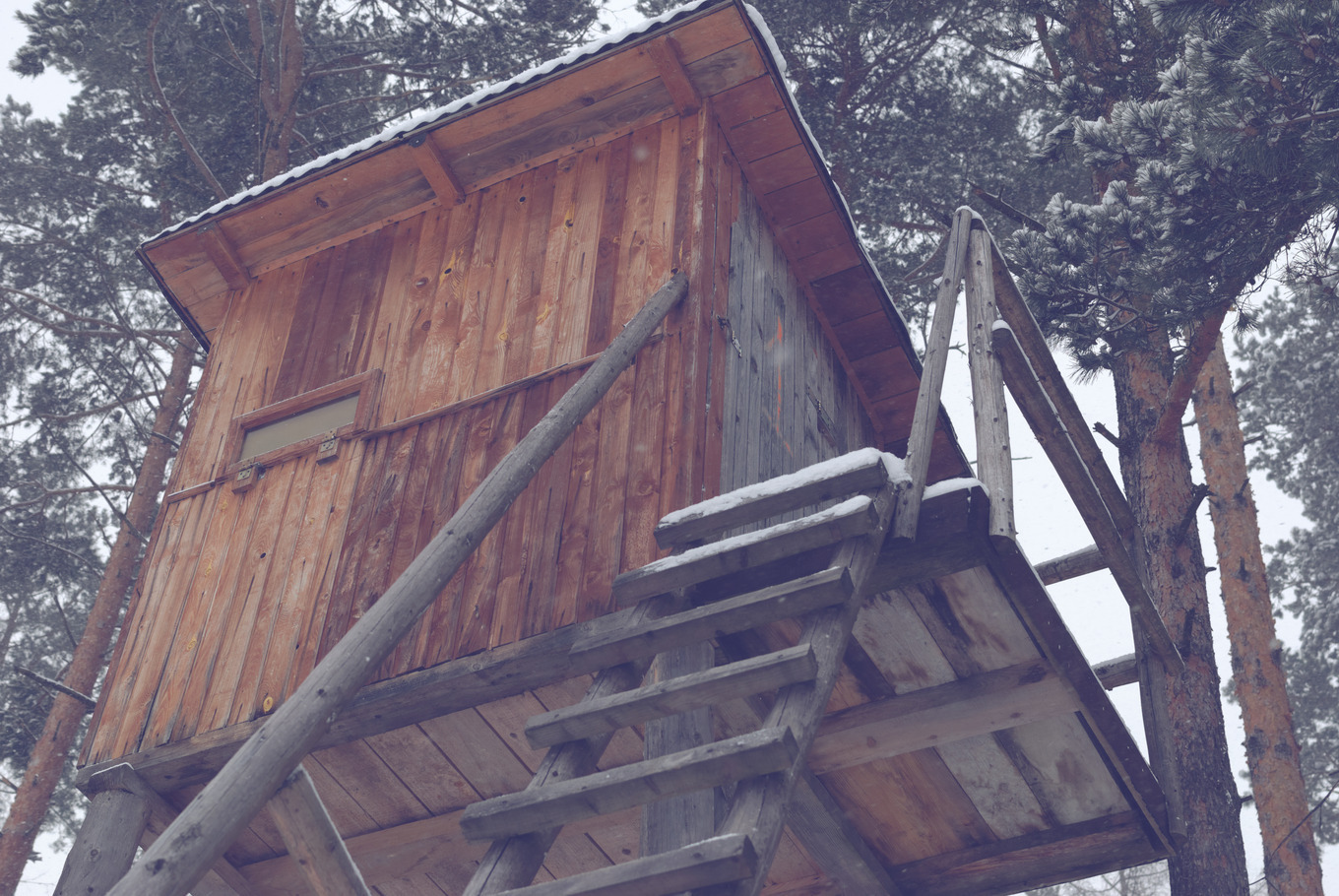 Pulpit in forest 2 containing protection, pulpit, and platform, an ...