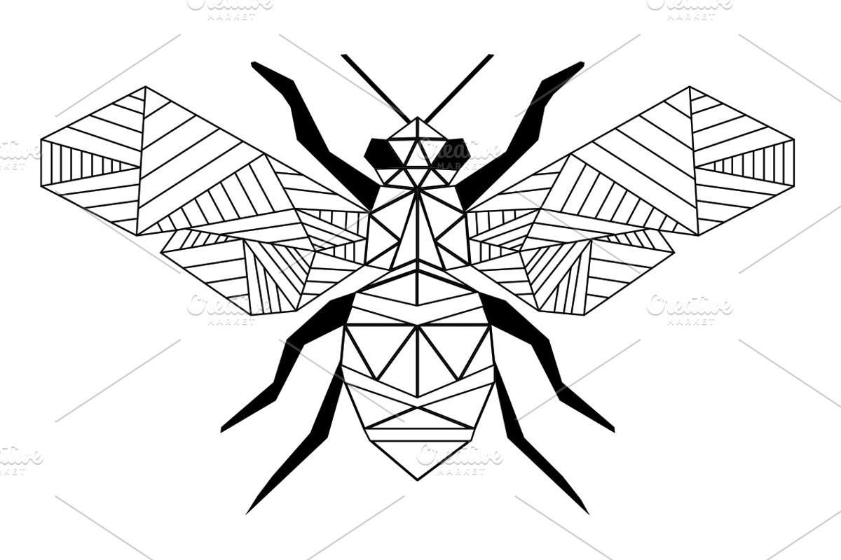 Geometric Bee and Honeycomb, a Graphic by sarahtypes