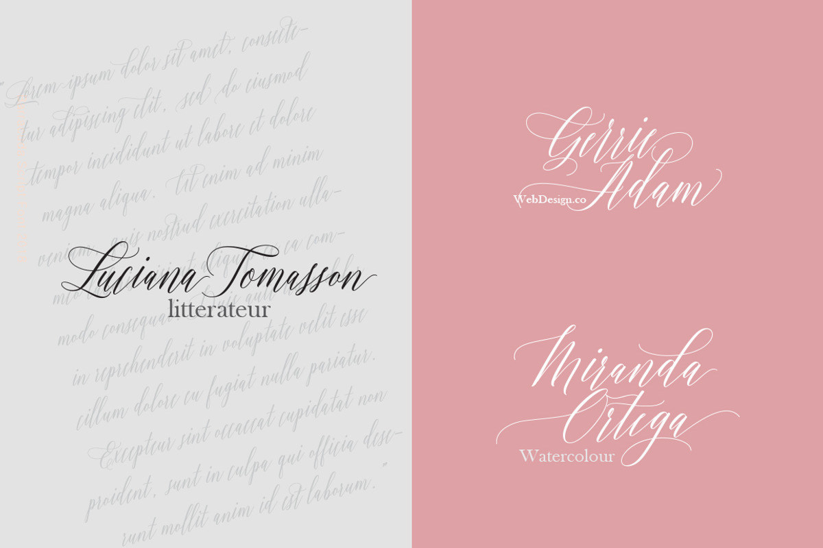 Barracuda Script, a Script Font by joelmaker | Creative Market