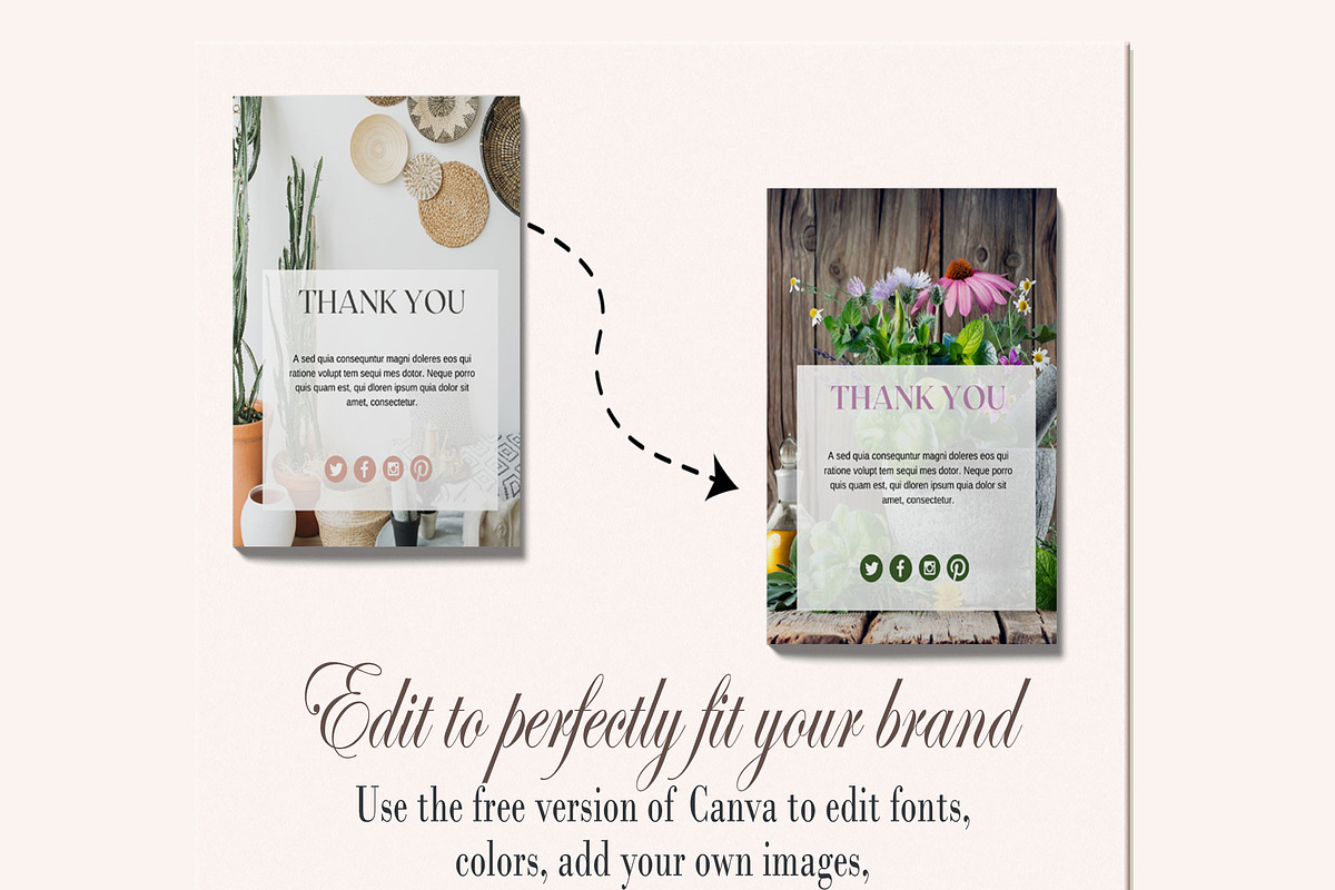 Line Sheet Canva Template