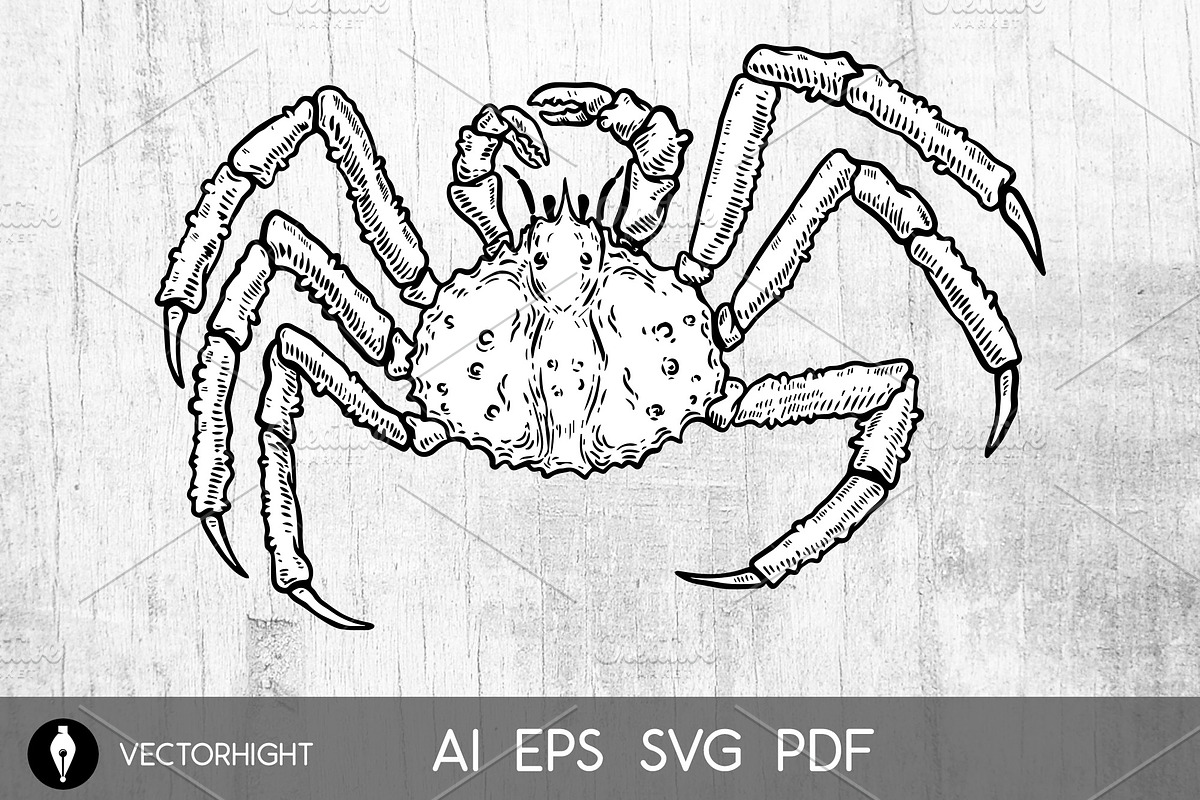 Illustration of King Crab, an Animal Illustration by Vectorhight ...