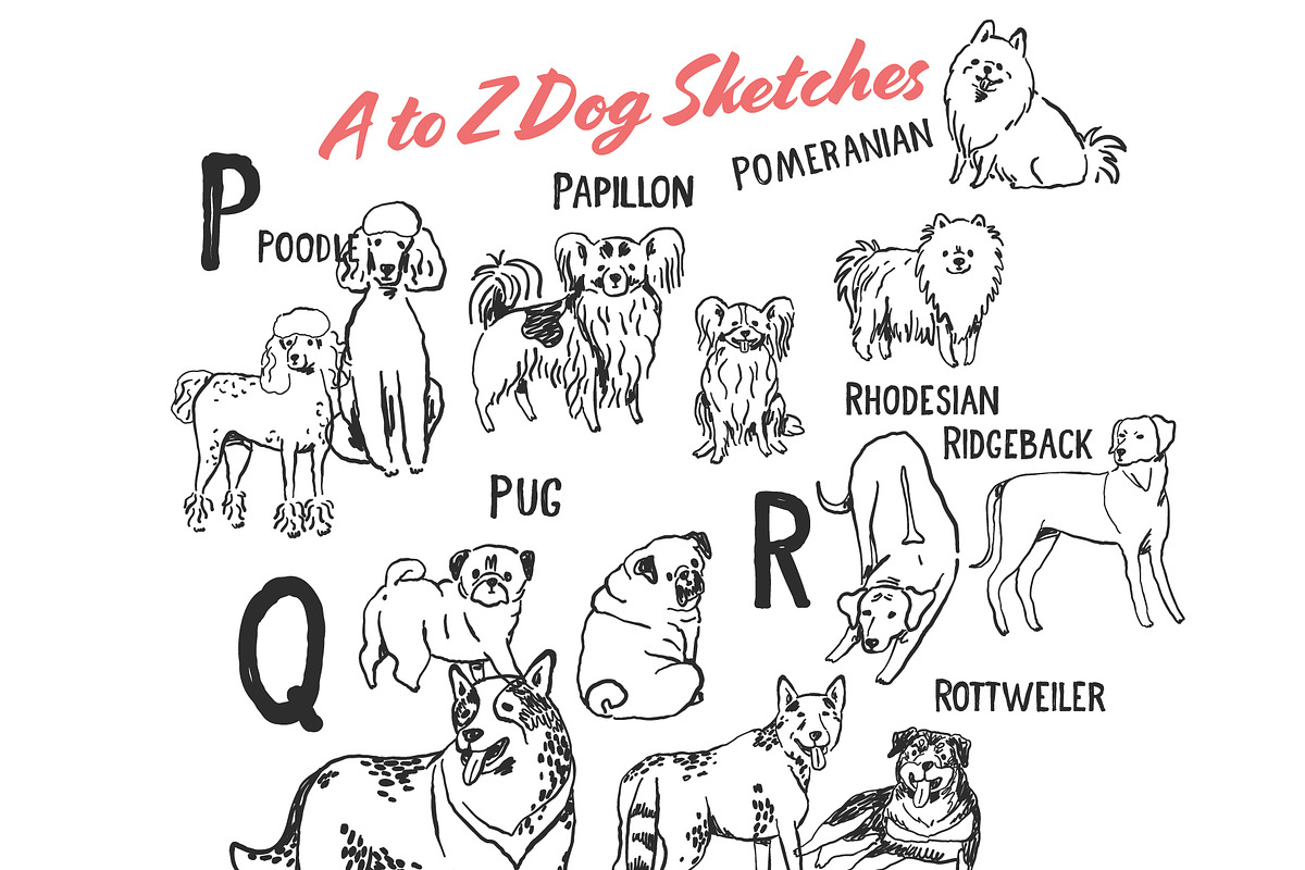 Whimsical Dog Alphabet, an Animal Illustration by Anastasiya Klempach