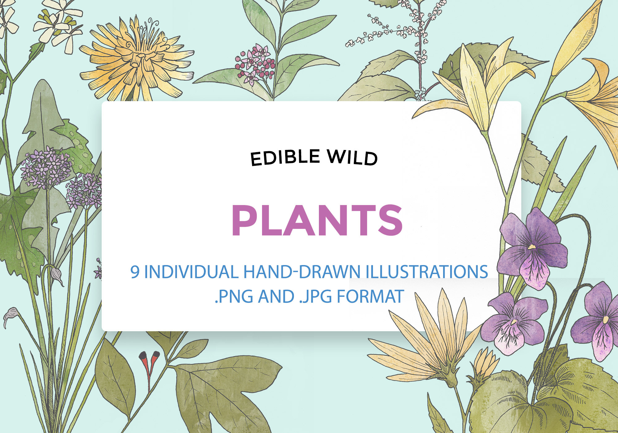 Hand Drawn Edible Flowers, an Illustration by MyNatureGraphics