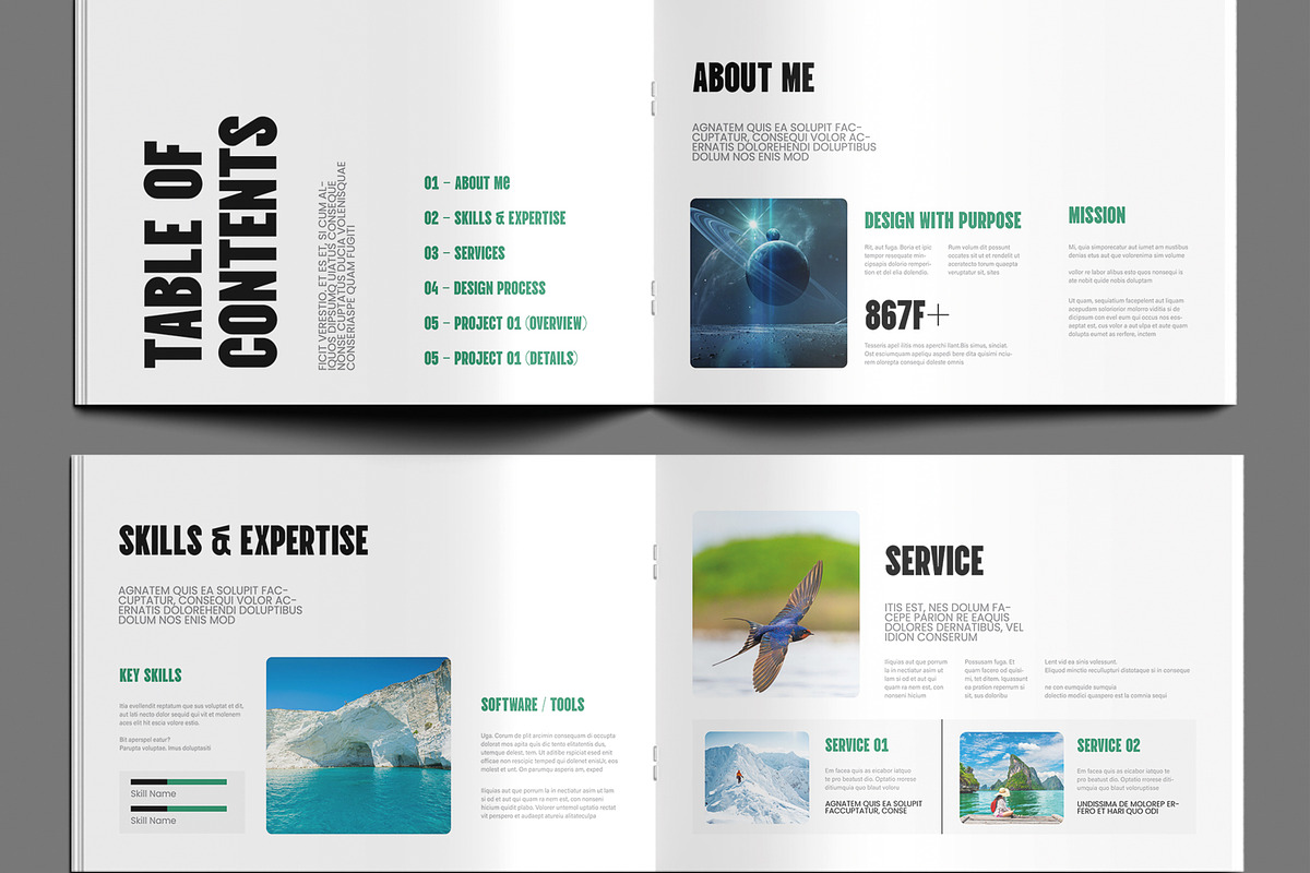 Professional Photography Portfolio