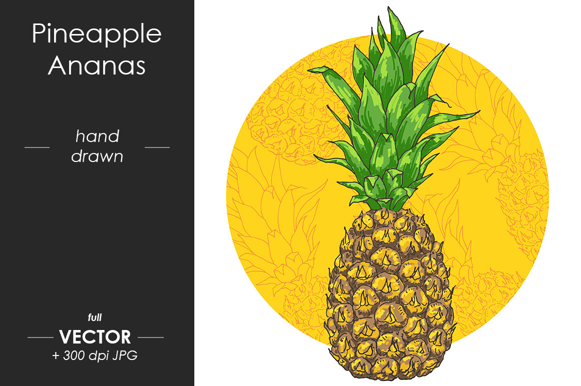 Vector juicy Pineapple, Ananas, a Food Illustration by OKart.studio
