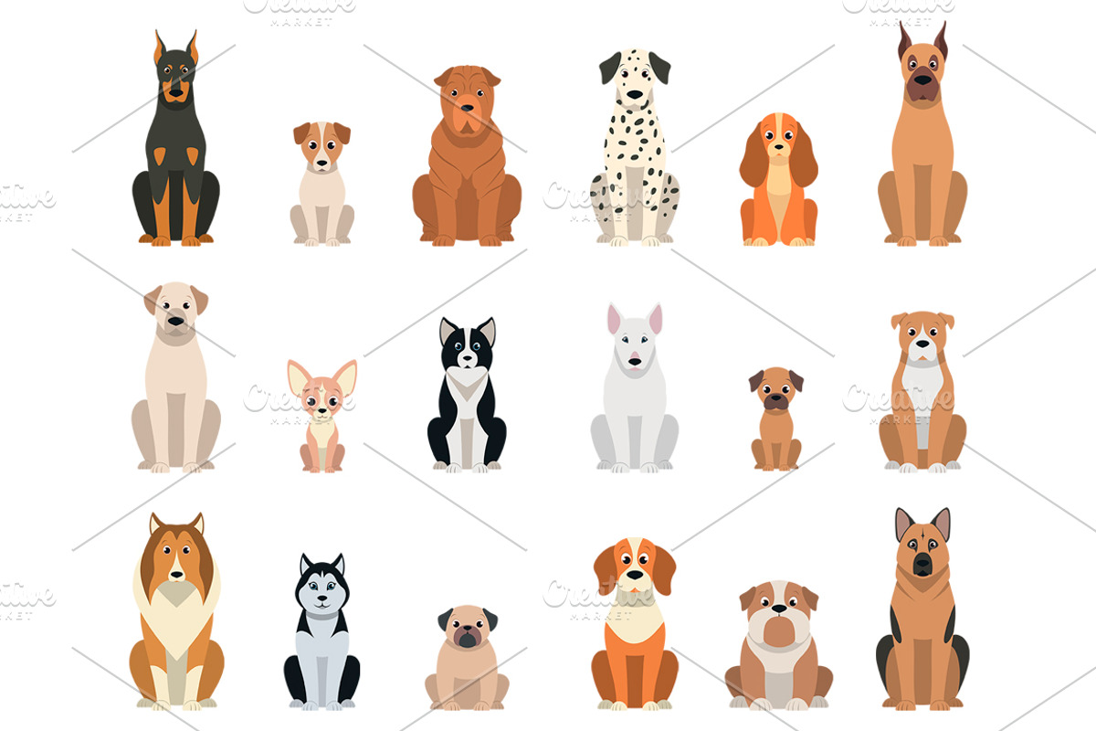 Set vector dogs, an Animal Illustration by Mark2000