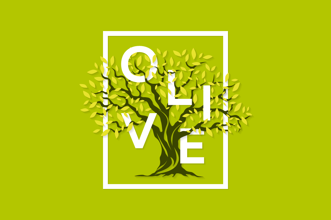 Vector olive tree logo design, an Object Graphic by provector