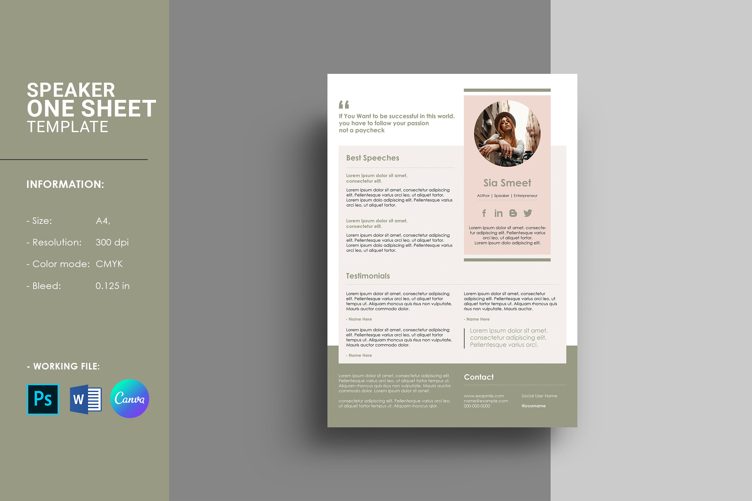 Speaker One Sheet Flyer, a Flyer Template by Template Shop