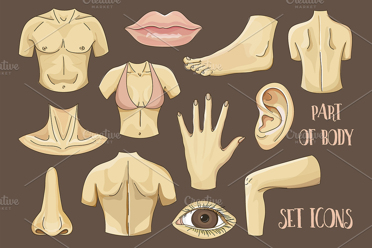 Body parts icons set, a Healthcare Illustration by Netkoff