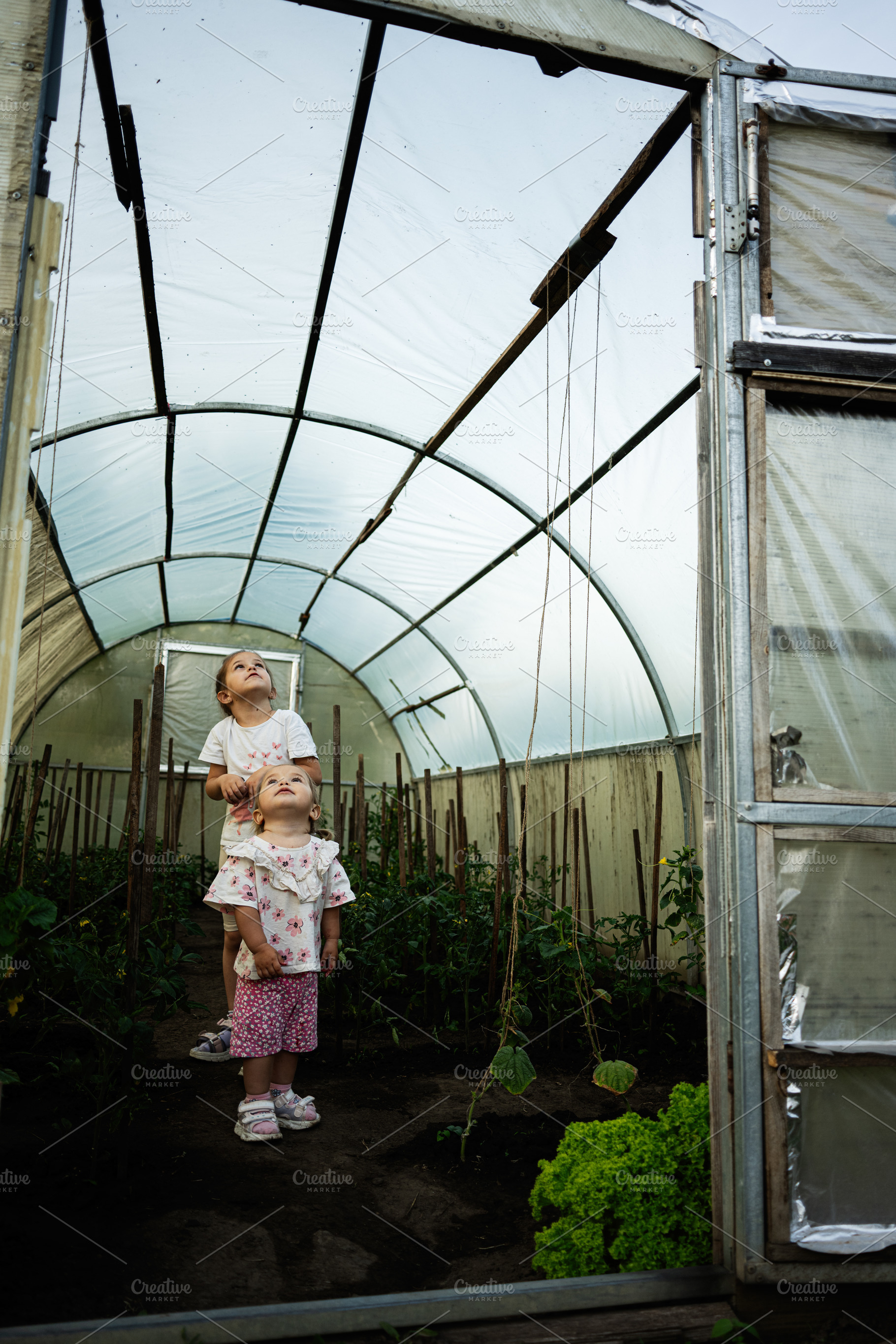 Children observing plants inside a greenhouse with natural light, a ...