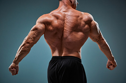 Bodybuilder back rear view muscles, a Sports & Recreation Photo by HD92