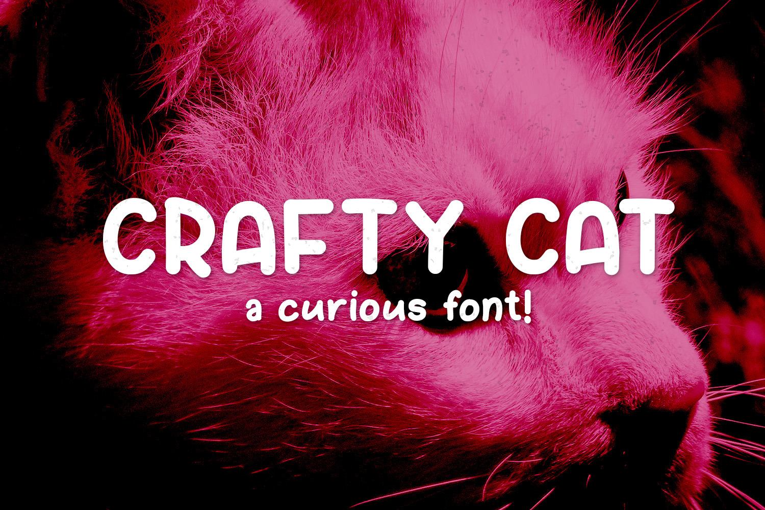 Crafty Cat, a Script Font by Kristy Hatswell