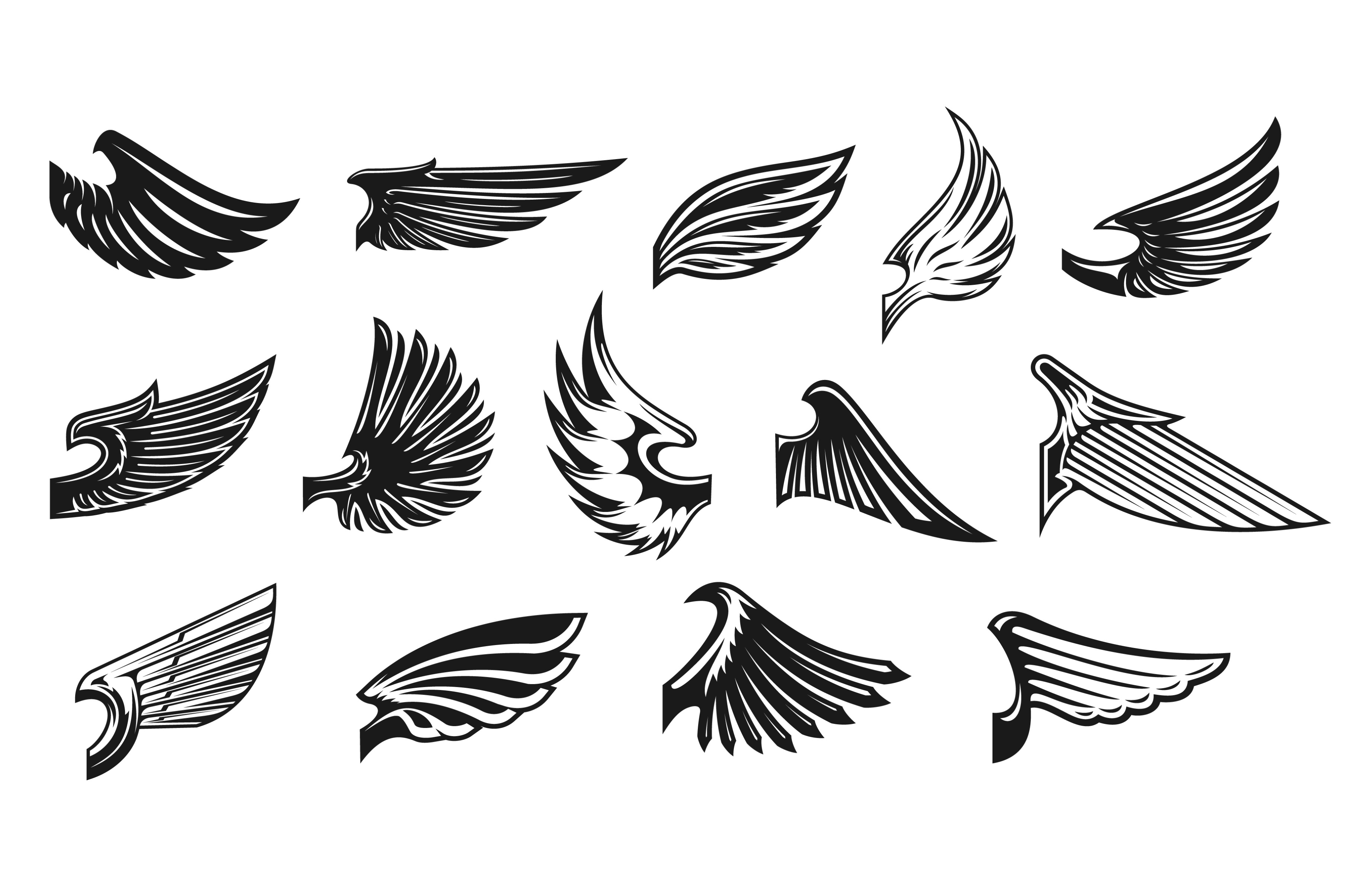 Eagle angel and cupid wings, a Decorative Illustration by Vector Tradition