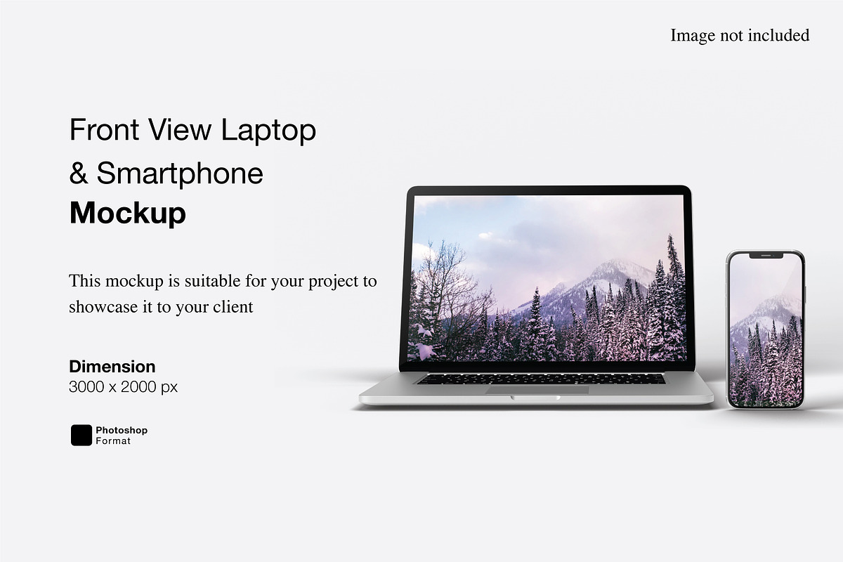 Front View Laptop and Smartphone Mock