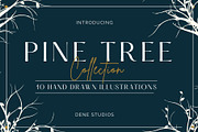 Hand Drawn Pine Trees | Illustrations ~ Creative Market