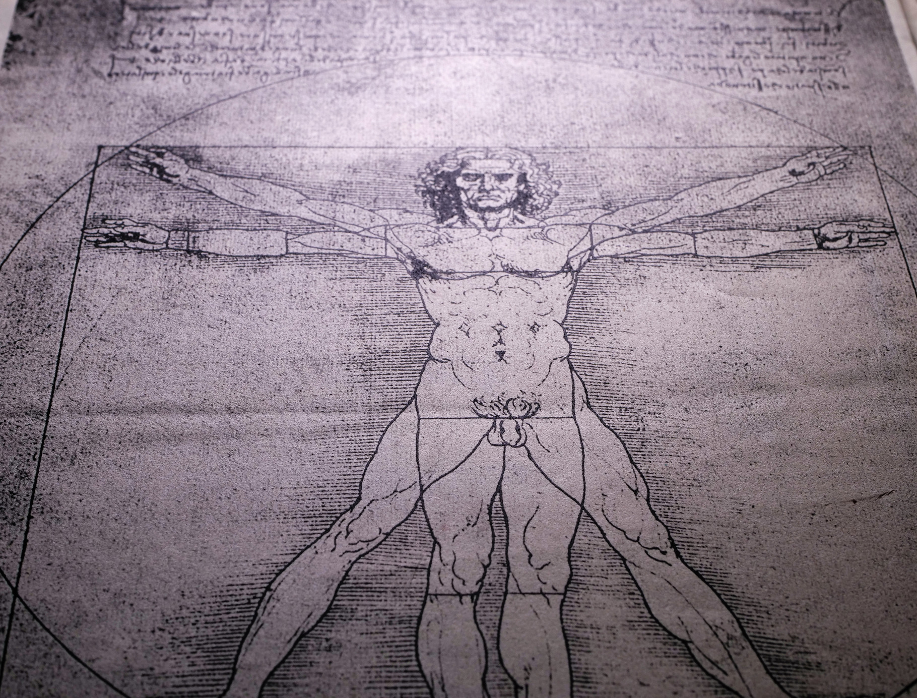 Anatomy art drawing containing biology, anatomy, and drawing, a School ...