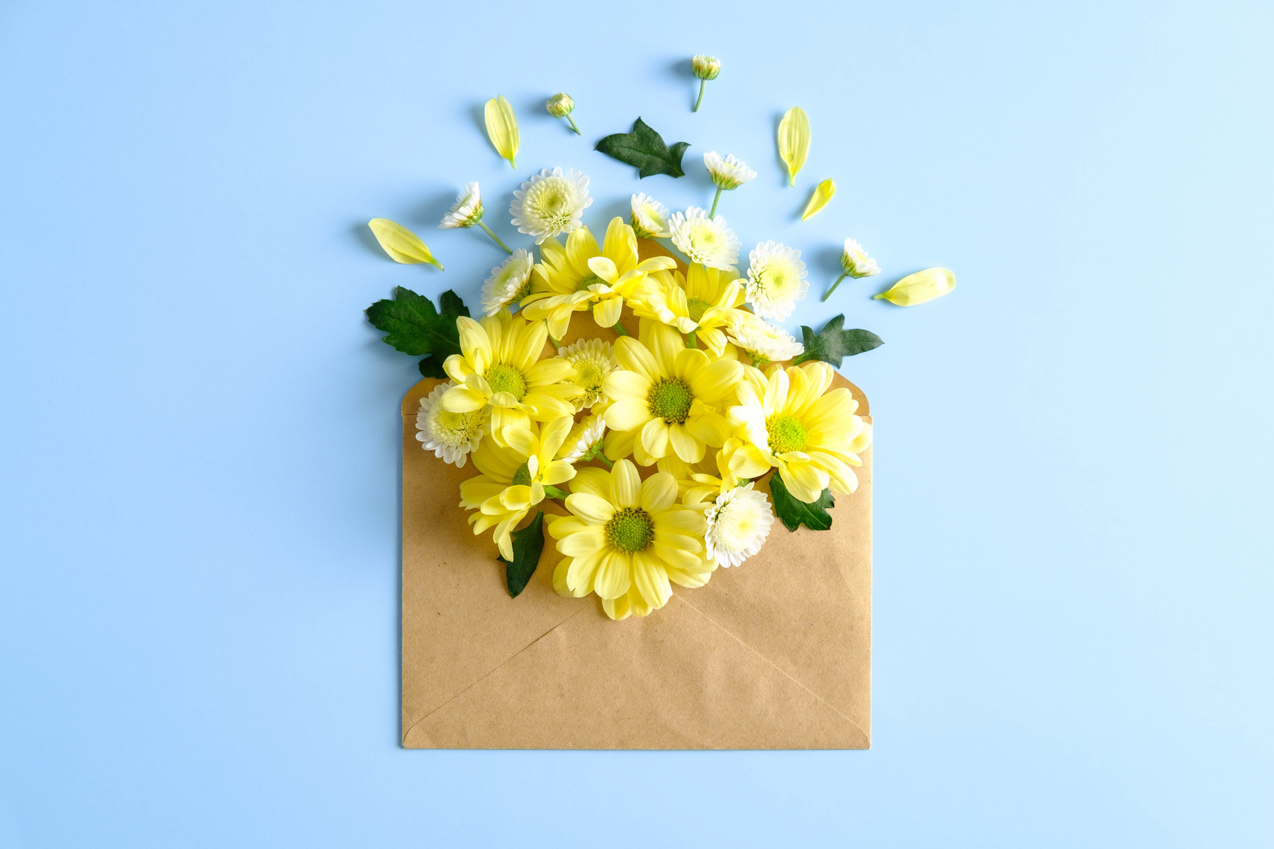 Open paper envelope with flowers, a Holiday Photo by photoguns