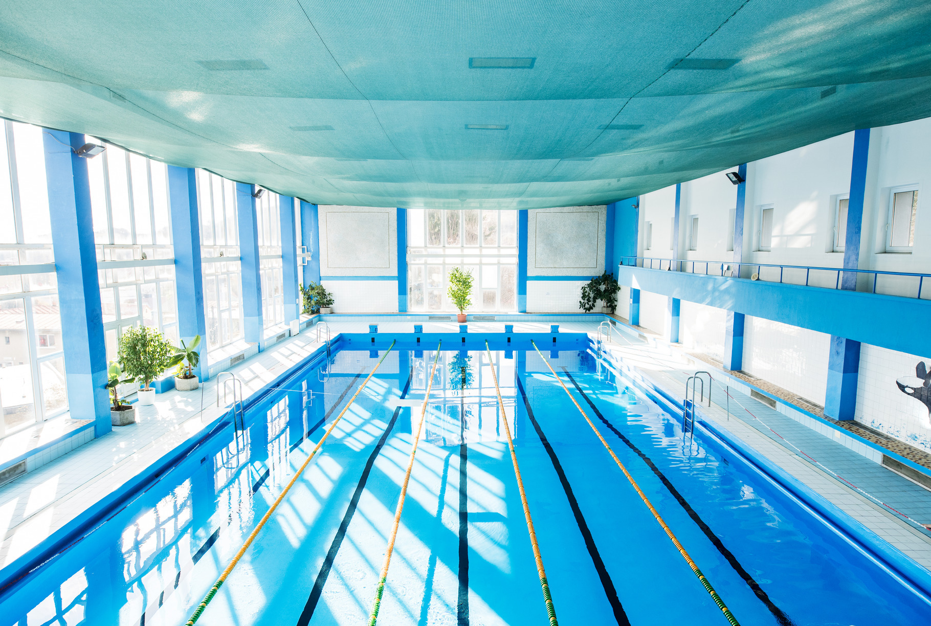An interior of an indoor public swimming pool containing healthy ...