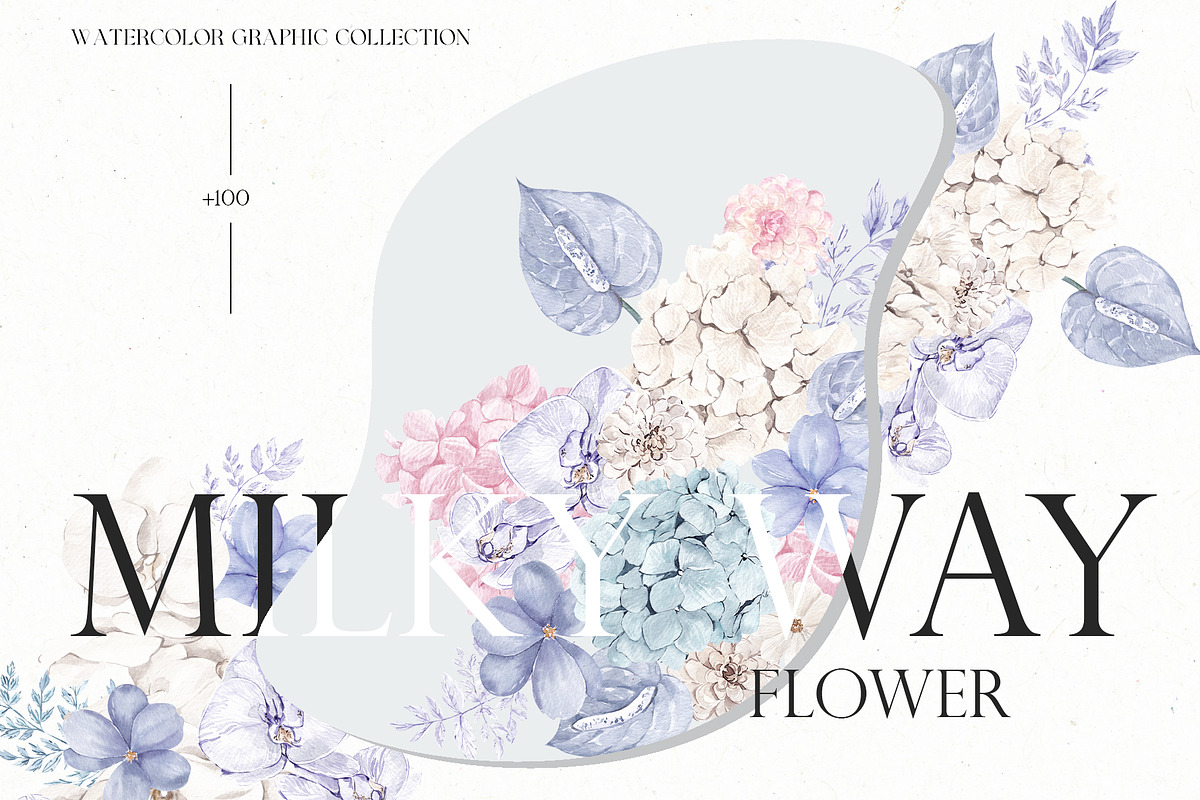 Watercolor Bundle. Floral gallery