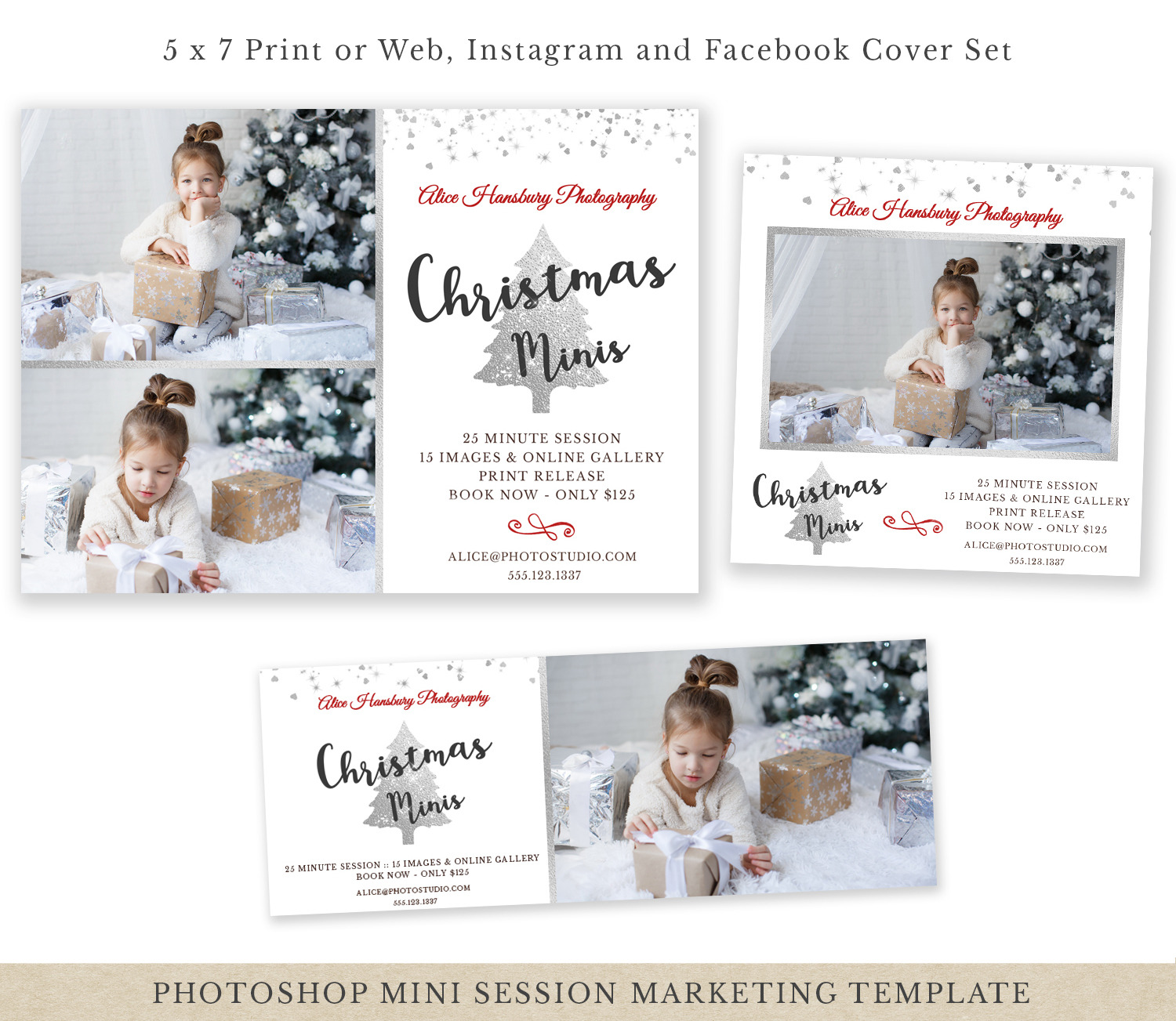 Christmas Mini Session Template, a Flyer Template by MockTurtleStudio