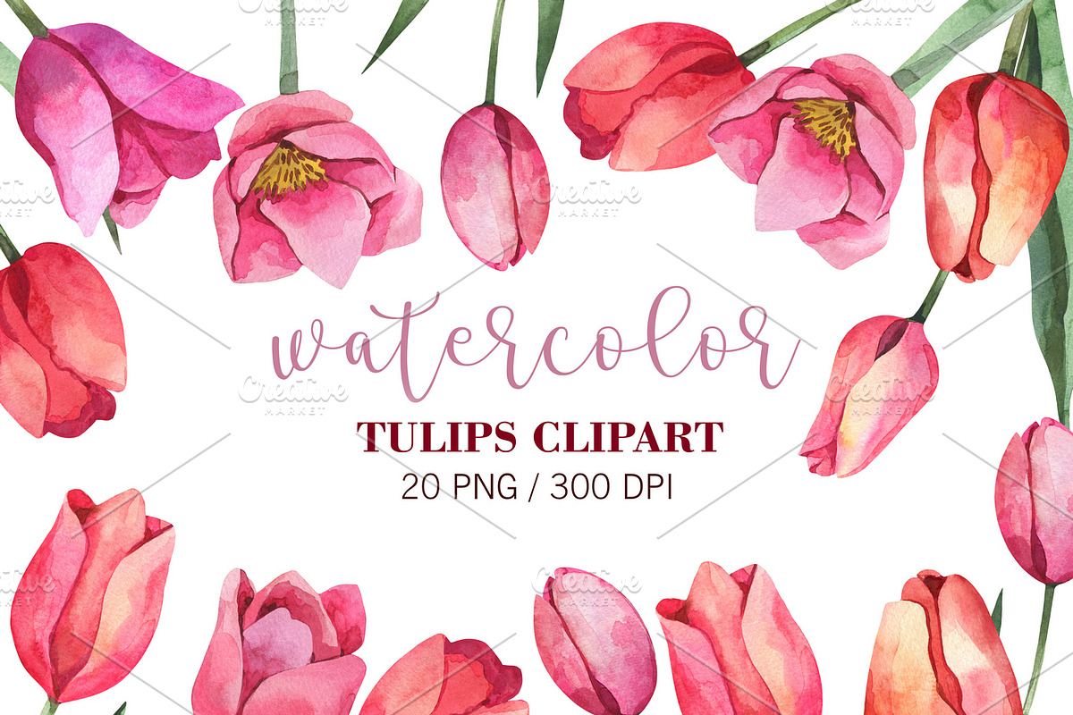 Watercolor Tulip Clipart, Spring