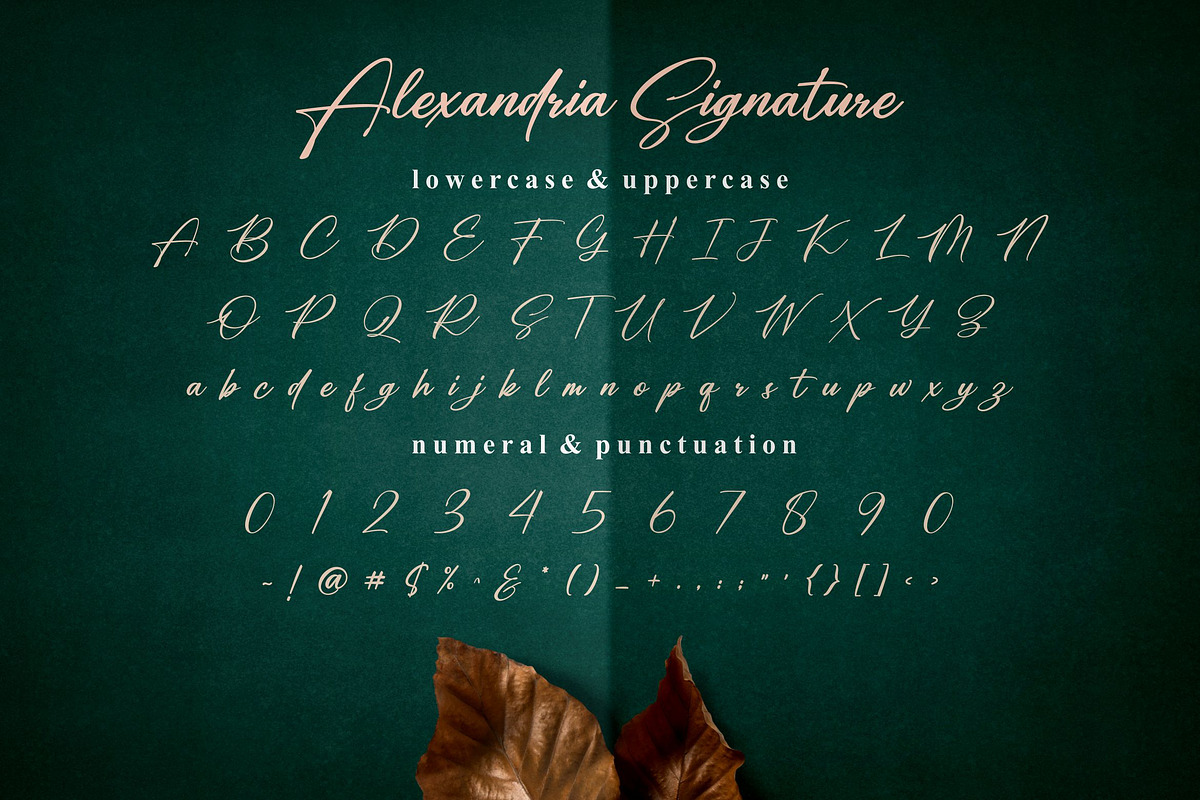 Alexandria Signature, a Script Font by ErgibiStudio