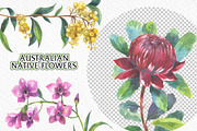Australian Native Flowers, a Seasonal Illustration by FITALARTSNEDIGI