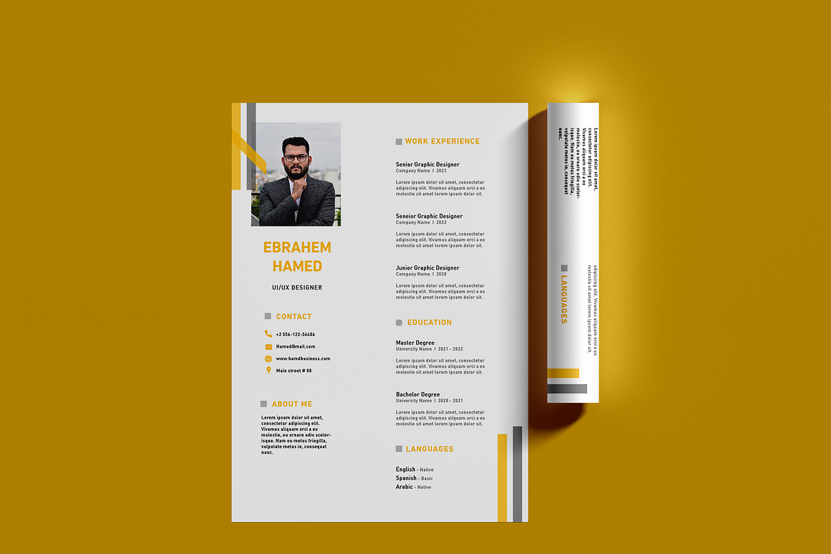 100 Resume - luxury templates, a Resume Template by Hamed Studio