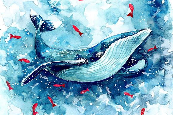 Watercolor Whale illustration, an Animal Illustration by Librebird