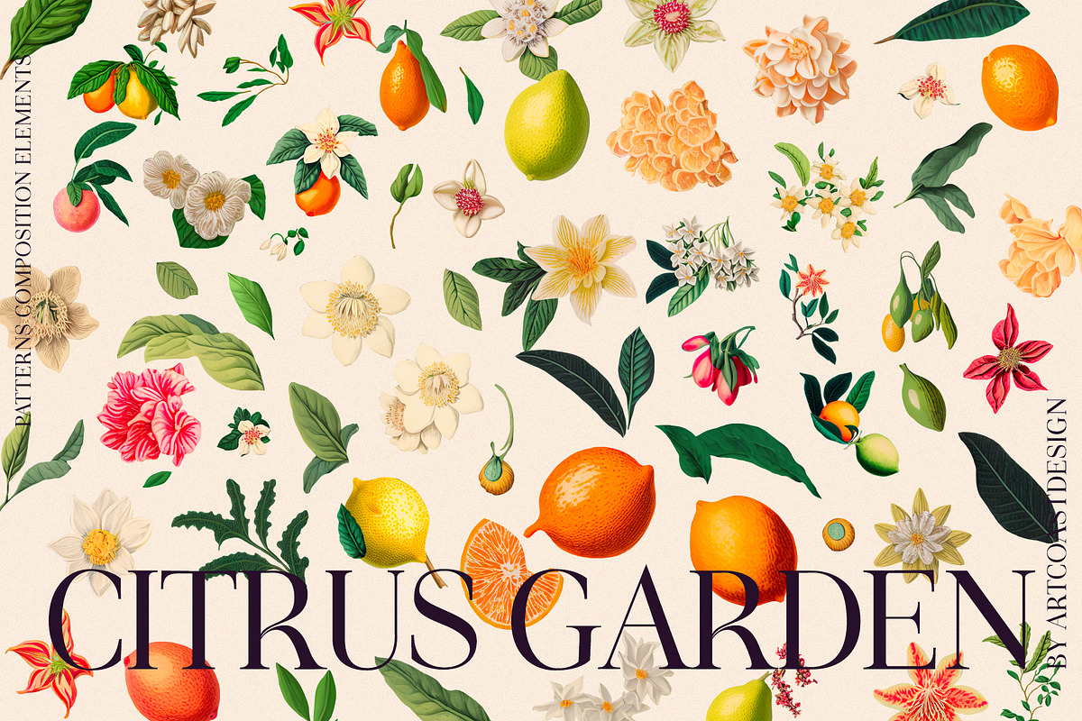 Citrus Garden Floral Set & Poster, an Object Illustration by nadispasibenko