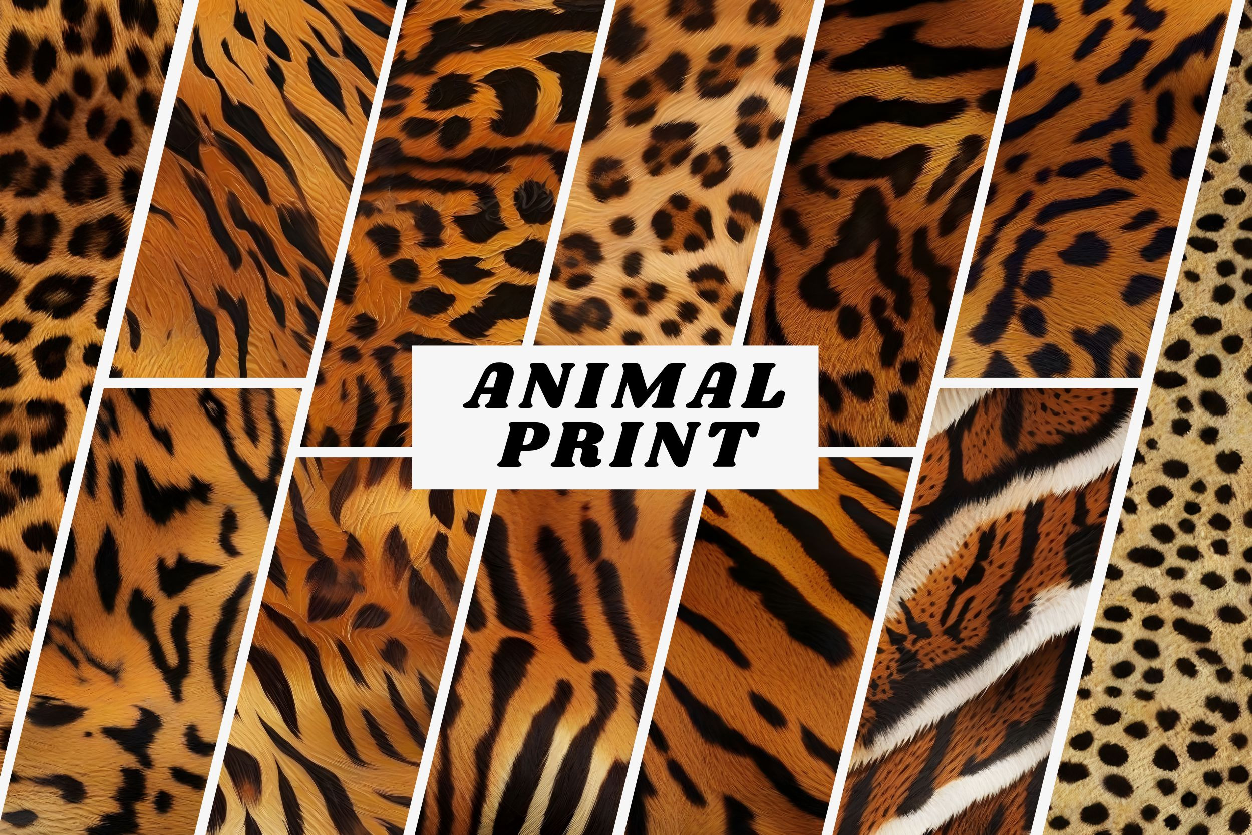 Safari Animals Skin Print Texture