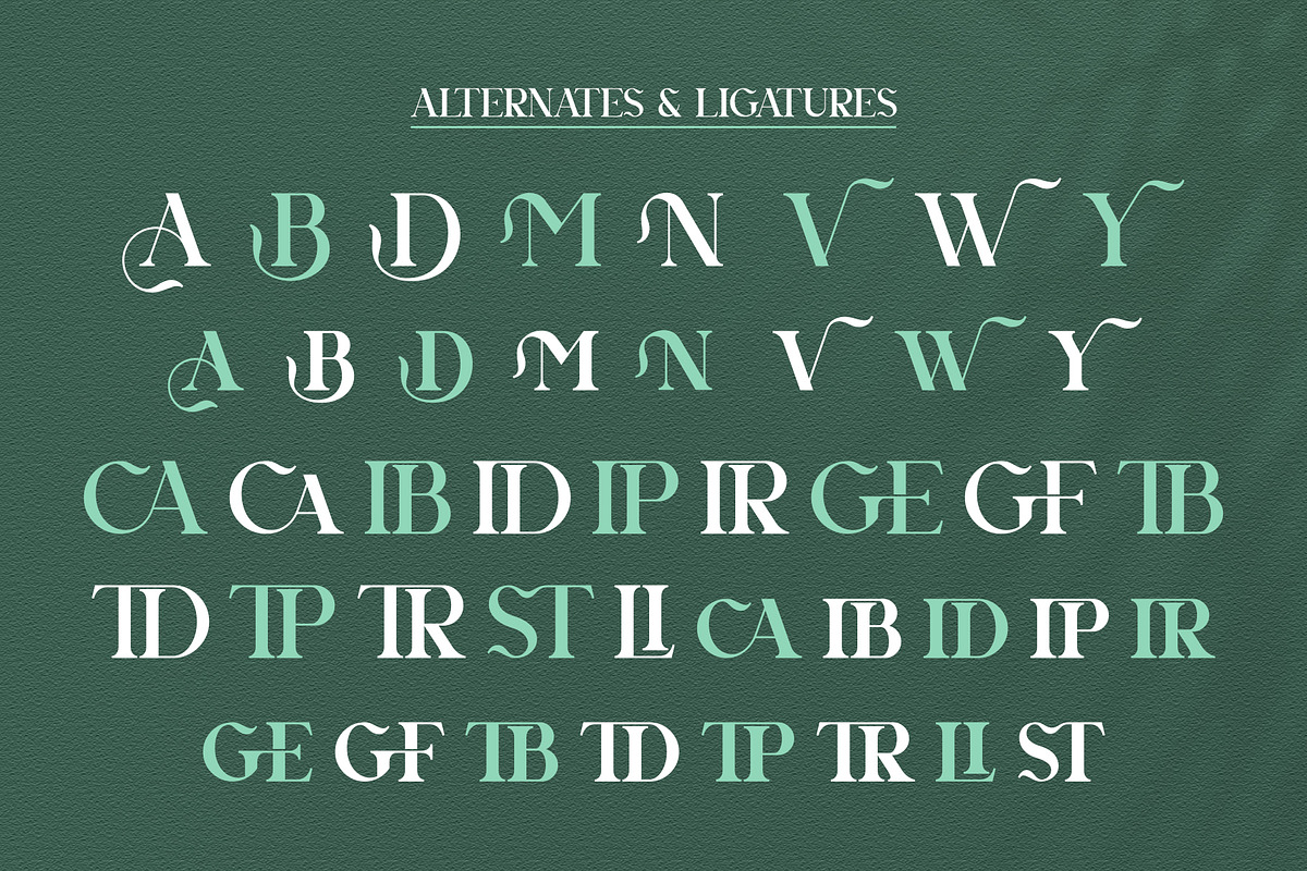 Agnista All Caps Serif Font, a Serif Font by Idea Studio