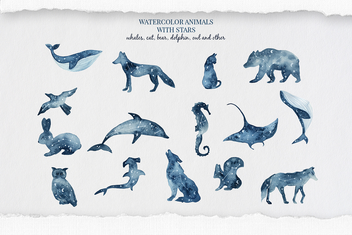 Animals and stars collection, an Animal Illustration by SparklePixieStudio