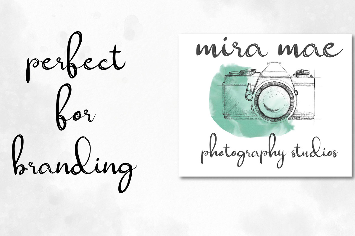 Primrose Modern Brush Script, a Script Font by Wooly Pronto | Creative Market