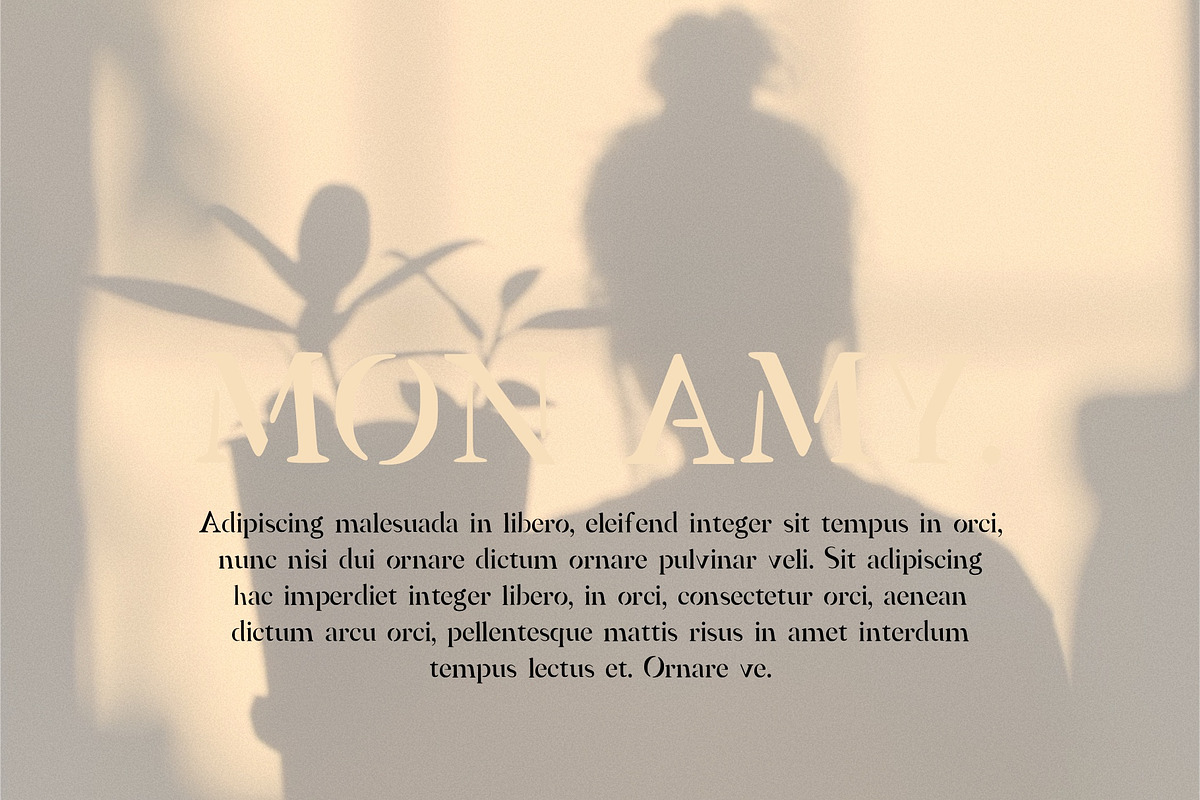 MonAmy Serif Font, a Serif Font by Rita Barmin