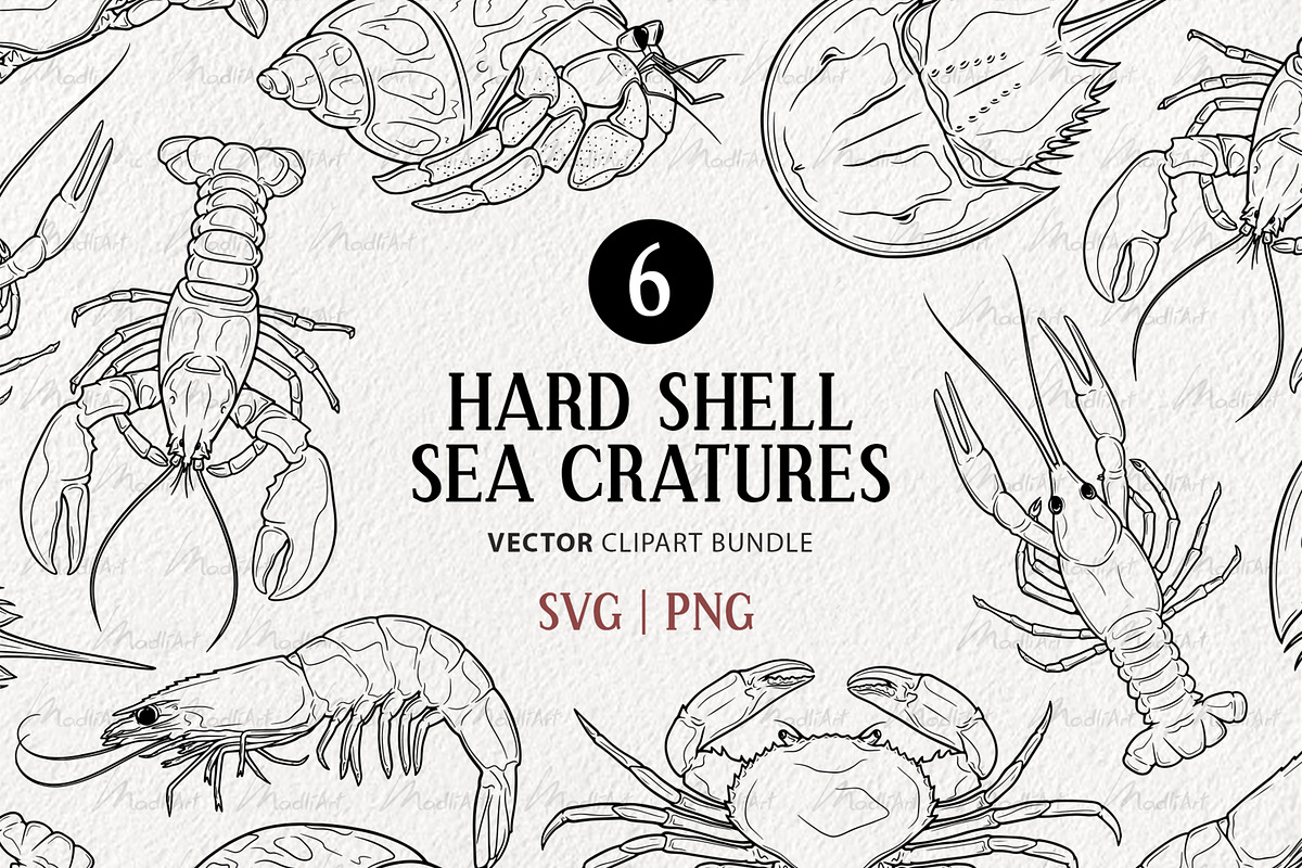 Hard Shell Sea Creatures Line Art, an Animal Illustration by MadliArt
