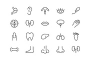 Pack Of Line Body Part Icons., an Outline Icon by DStarky