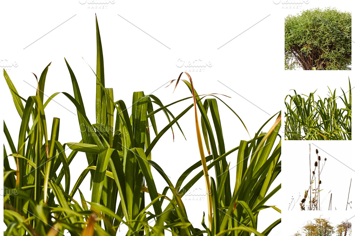 Grass overlays, an Object Graphic by ArtuscoDesign