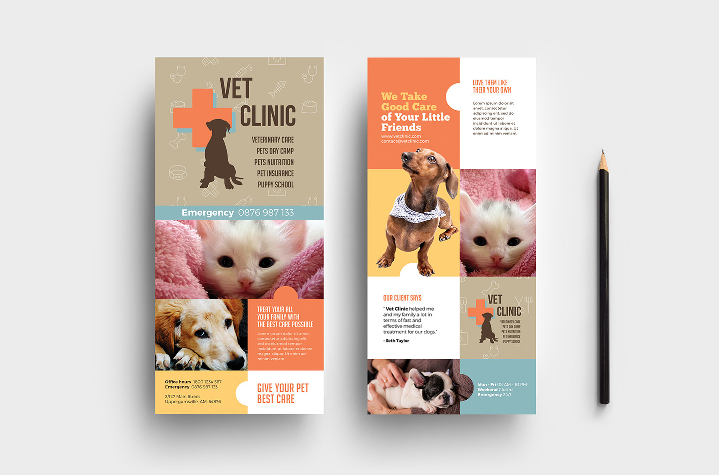 Vet Clinic DL Card Template, a Card Template by BrandPacks