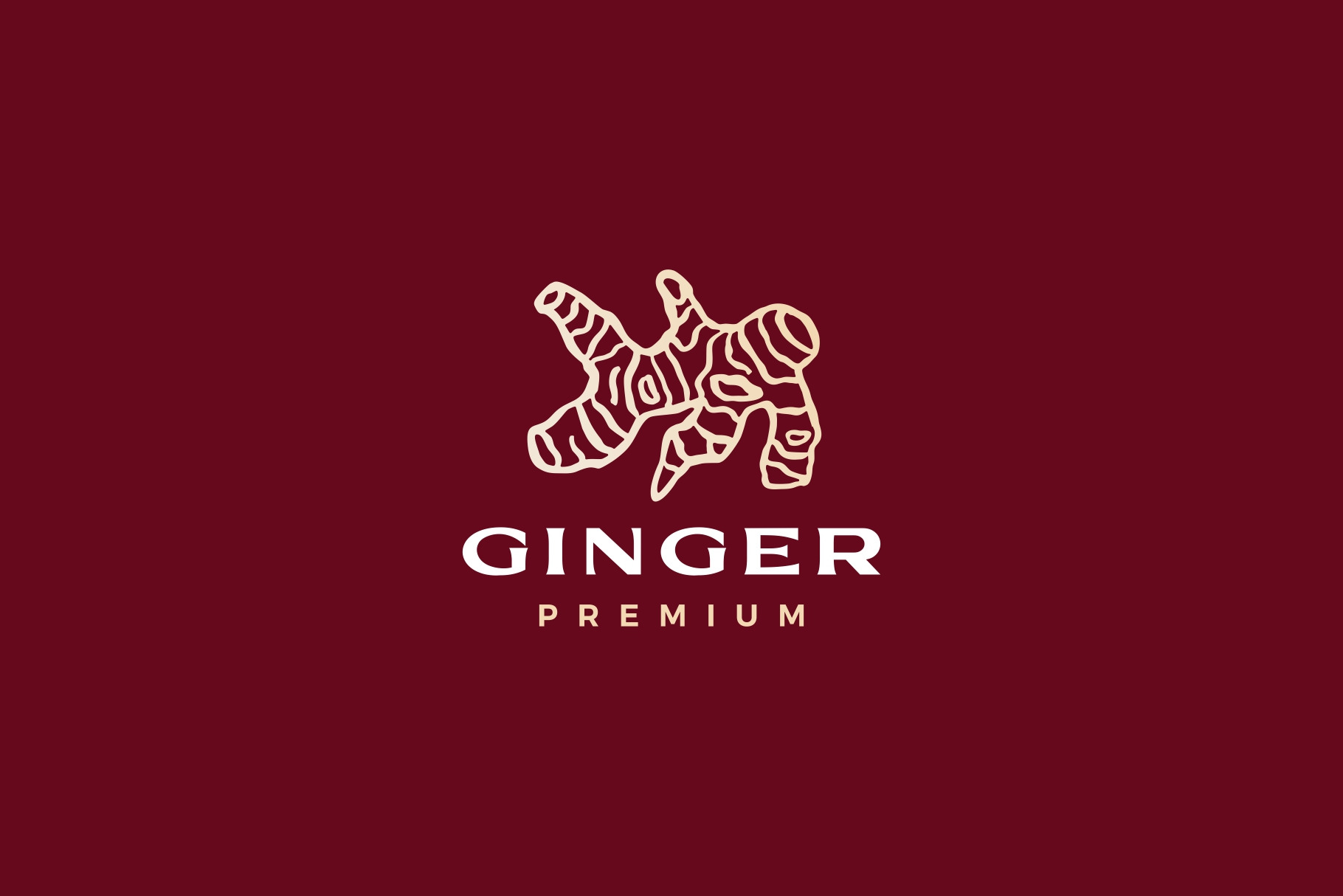 red ginger root logo vector icon, a Branding & Logo Template by VSTRD ...