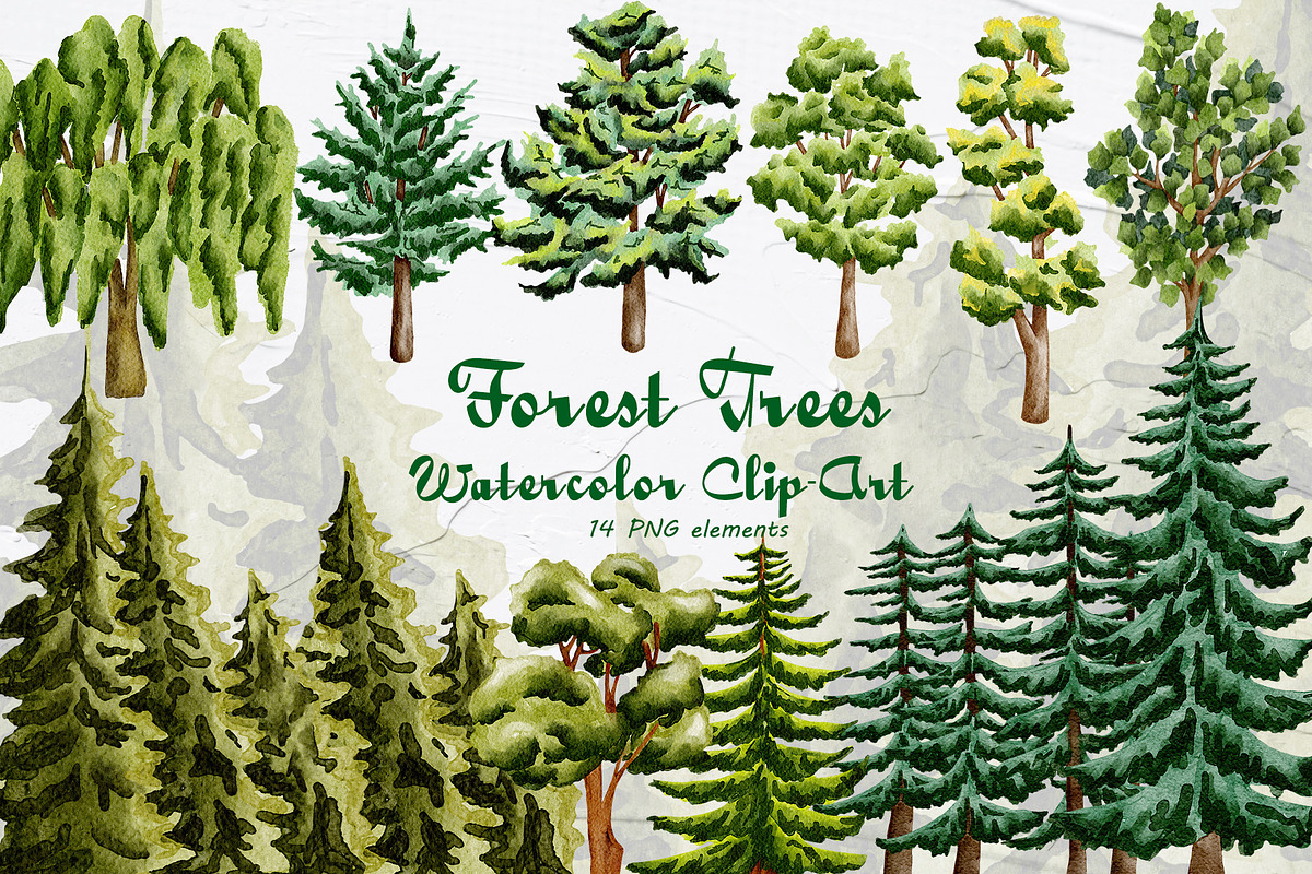 Forest Trees Watercolor Clipart, an Illustration by BarvArt